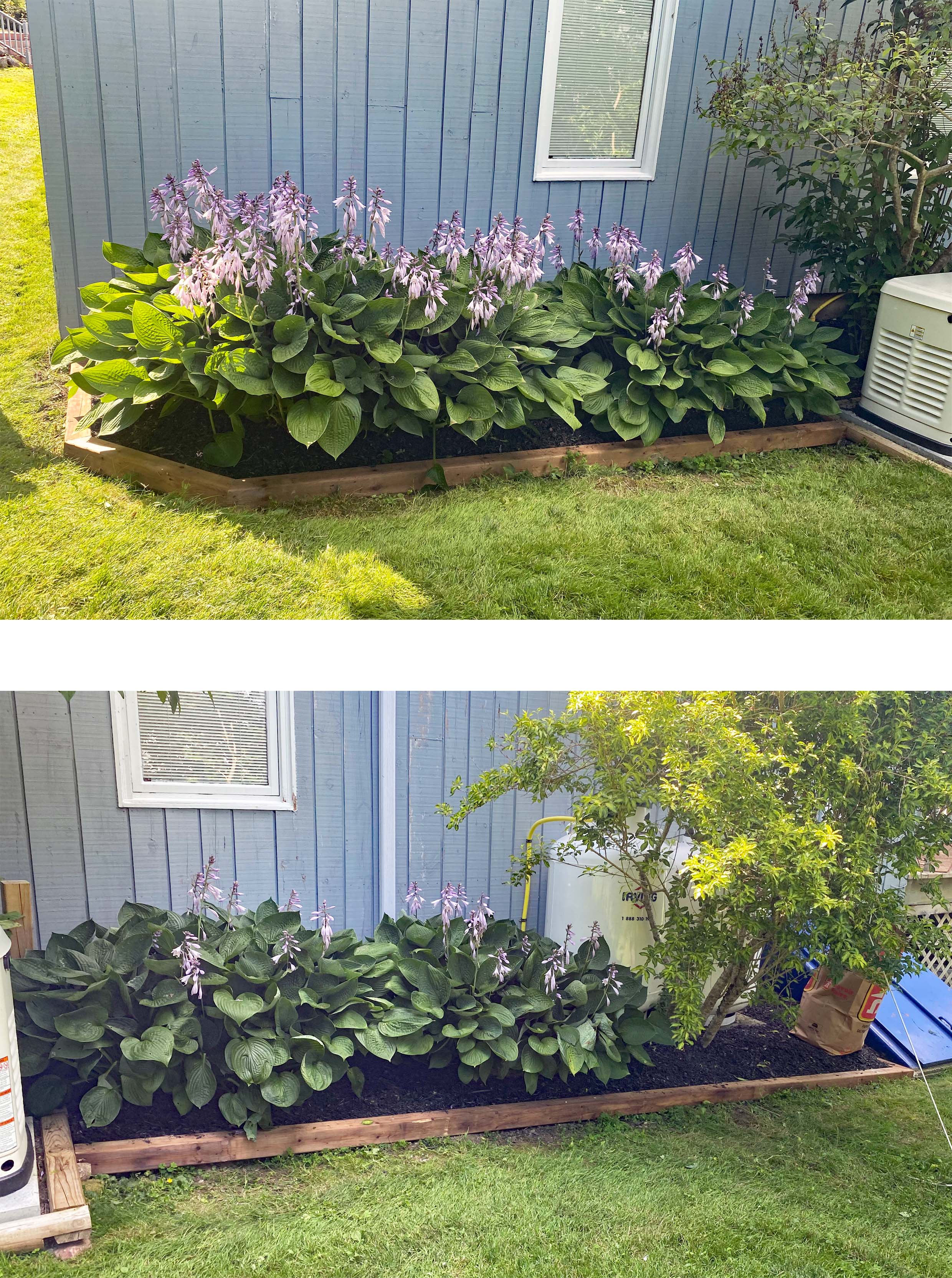 garden-edging – AMK Landscaping